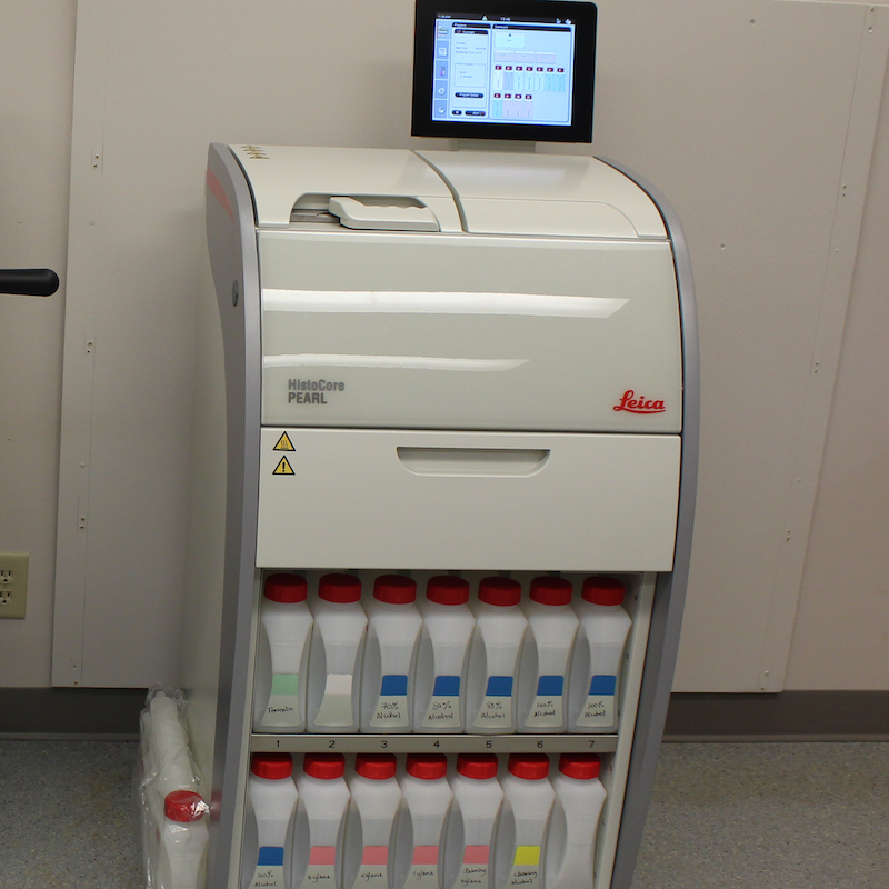 Histology | Department of Medicine | School of Medicine | Queen's ...